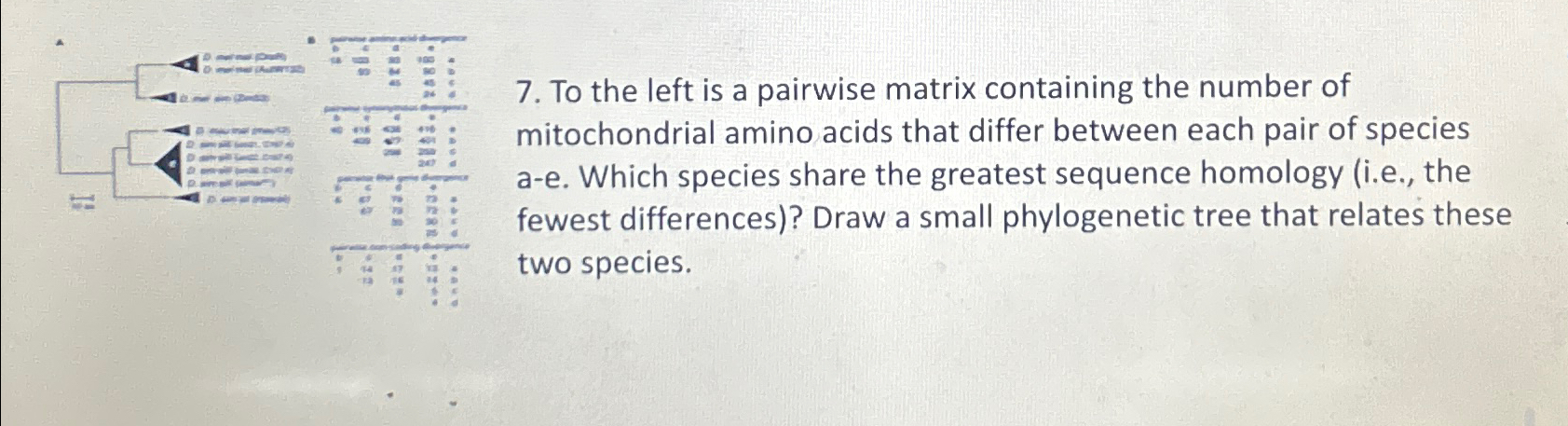 Solved To the left is a pairwise matrix containing the | Chegg.com