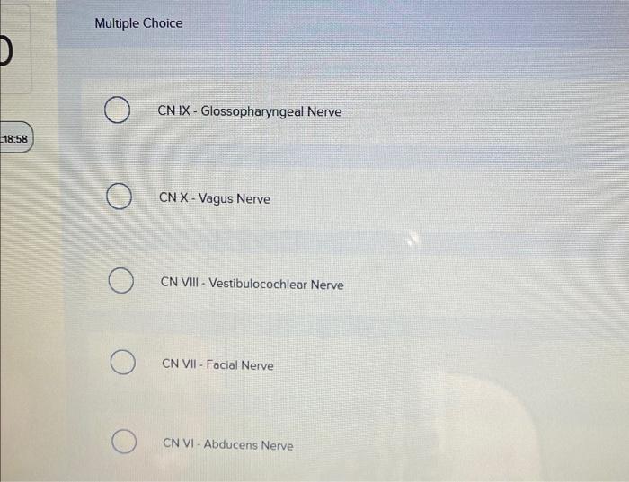 Solved Which structure is highlighted? Multiple Choice | Chegg.com