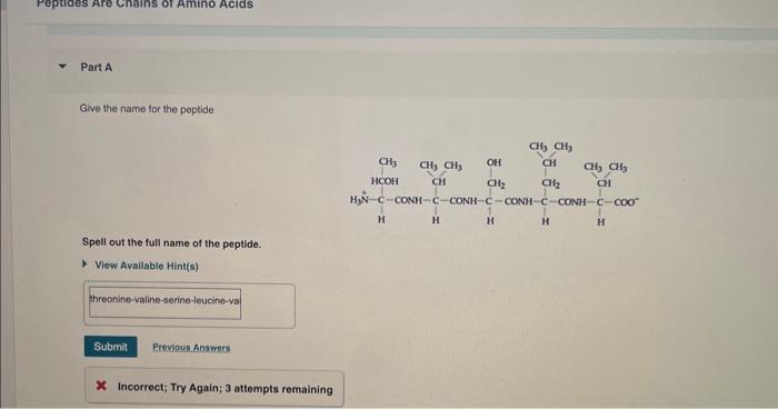 Solved Give the name for the peptide Spell out the full name | Chegg.com