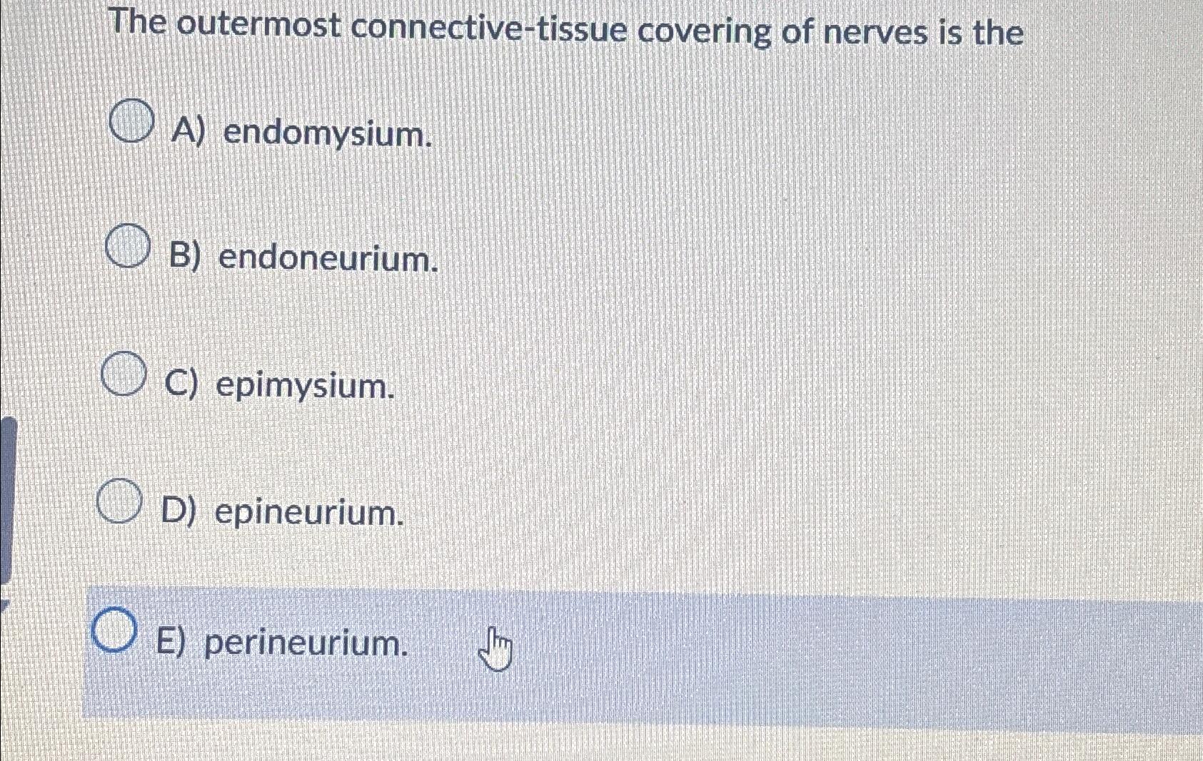Solved The outermost connective-tissue covering of nerves is | Chegg.com