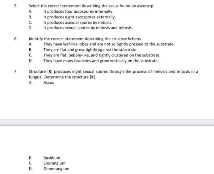 Solved 5 Select The Correct Statement Describing The Ascus