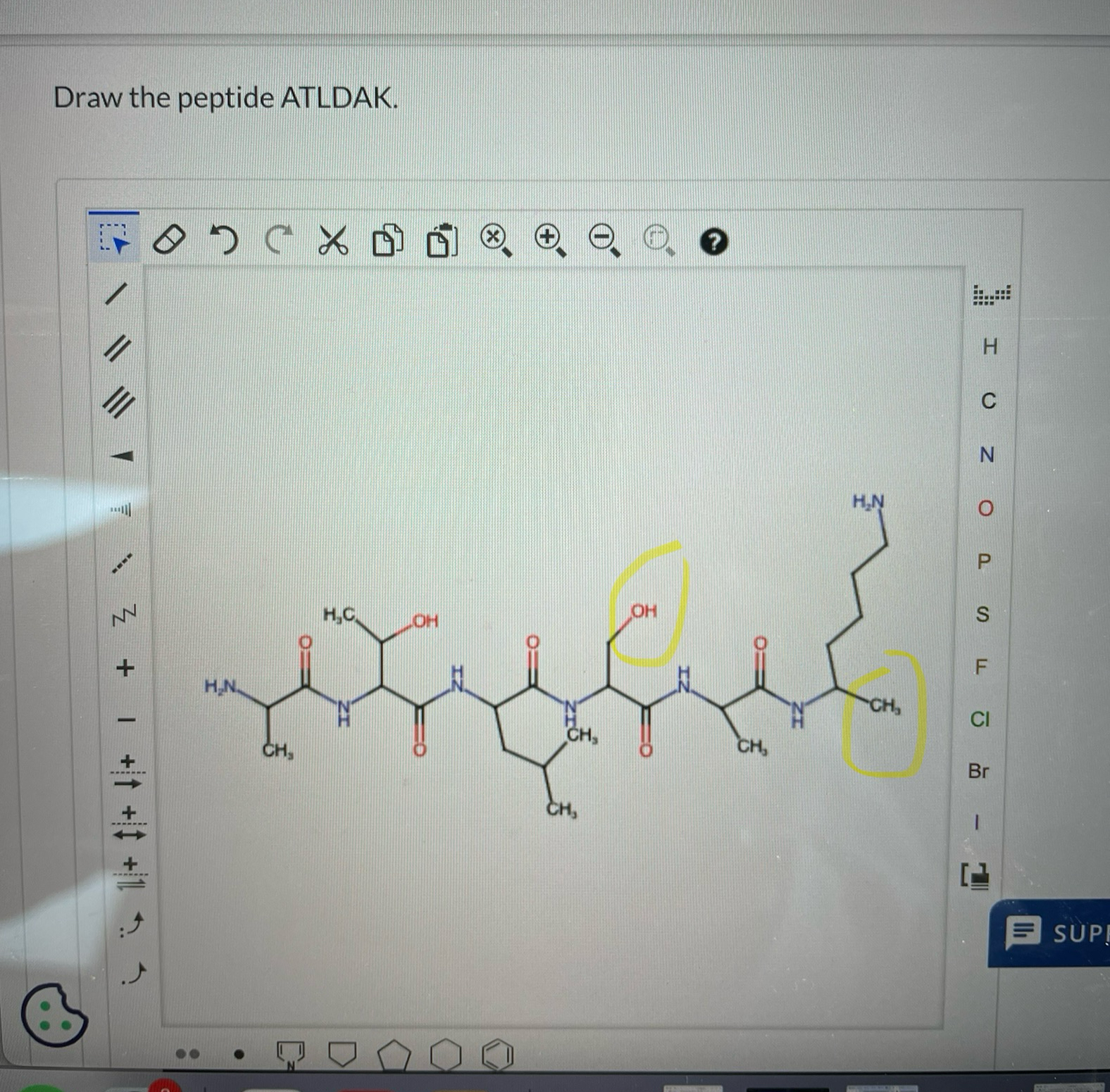 Solved Draw the peptide ATLDAK.I need help trying to figure | Chegg.com