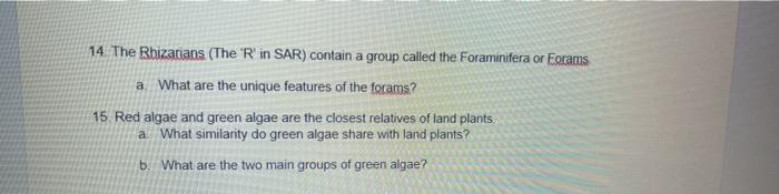 Solved 14. The Rhizarians (The 'R' in SAR) contain a group | Chegg.com