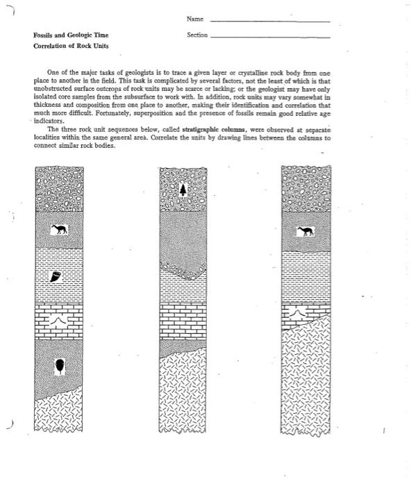 Solved Name Section Fossils And Geologic Time Correlation Of 6073
