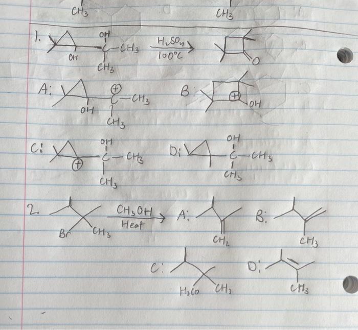Solved 1. Identify the intermediates that lead to the | Chegg.com