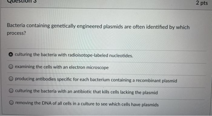 Solved 2 pts Bacteria containing genetically engineered | Chegg.com