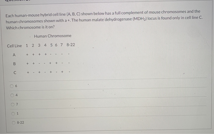 Solved Each human-mouse hybrid cell line (A, B, C) shown | Chegg.com