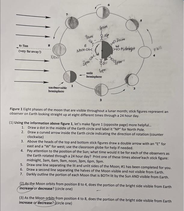 Solved Figure 1 Eight phases of the moon that are visible | Chegg.com