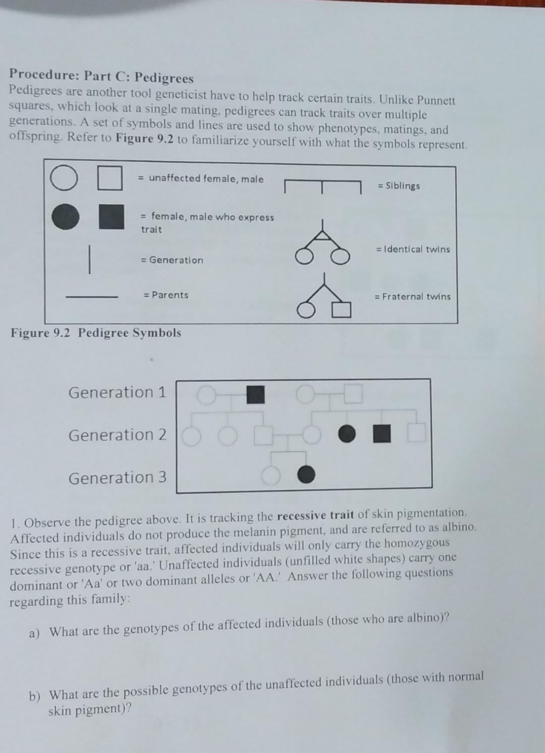 Solved Procedure: Part C: Pedigrees Pedigrees are another | Chegg.com