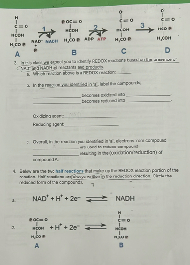Solved In this class we expect you to identify REDOX | Chegg.com