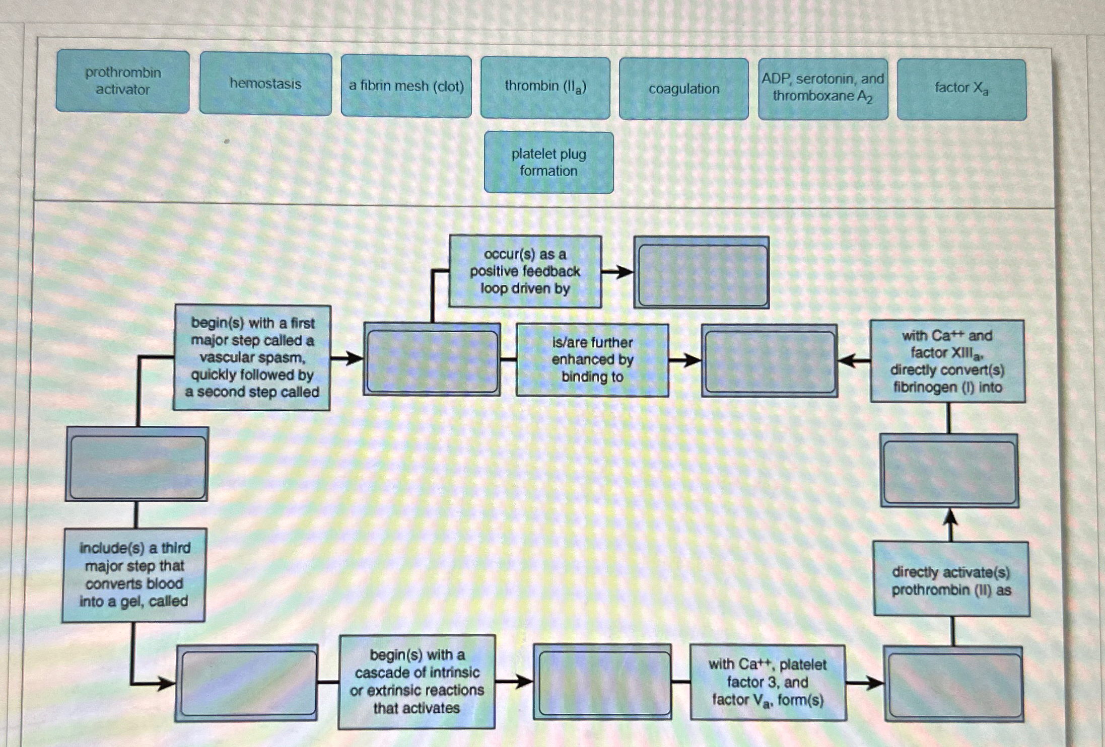 Solved Solve the concept map | Chegg.com