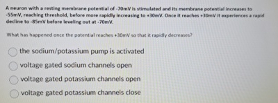 Solved A neuron with a resting membrane potential of - 70mV | Chegg.com