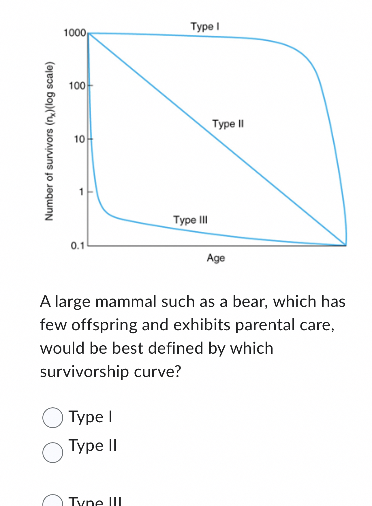 Solved A large mammal such as a bear, which has few | Chegg.com