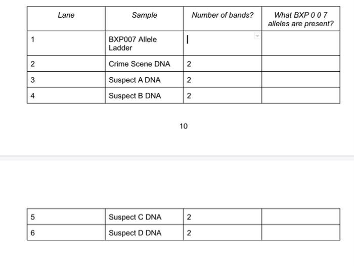 Solved So what will be the results and discussion for crime | Chegg.com