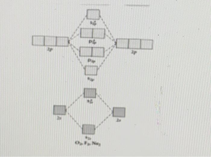 Solved which one of the following is paramagnetic? N2^2+, | Chegg.com