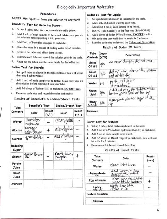 Solved Biologically Important Molecules Procedures Sudan IV | Chegg.com