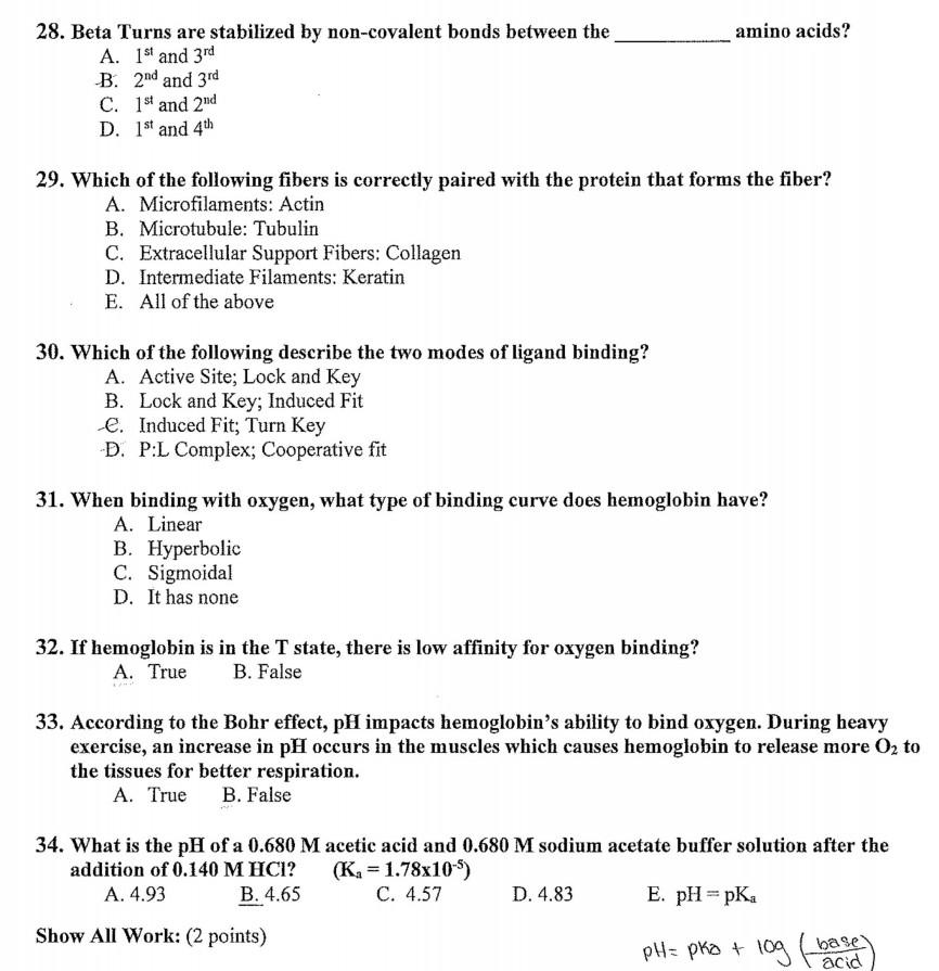 Solved 28. Beta Turns are stabilized by non-covalent bonds | Chegg.com