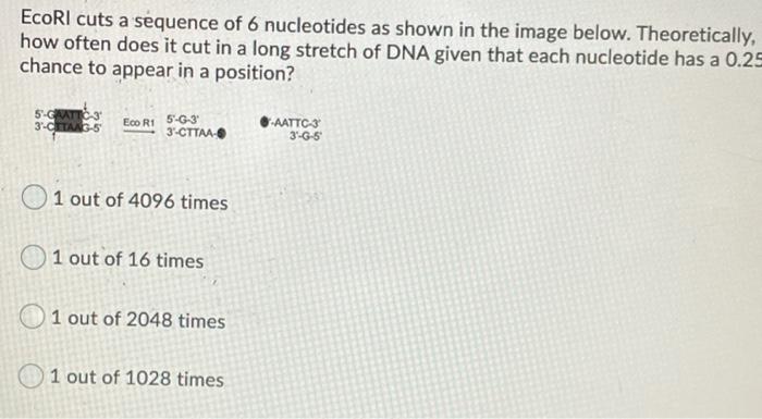 Solved EcoRI cuts a sequence of 6 nucleotides as shown in | Chegg.com