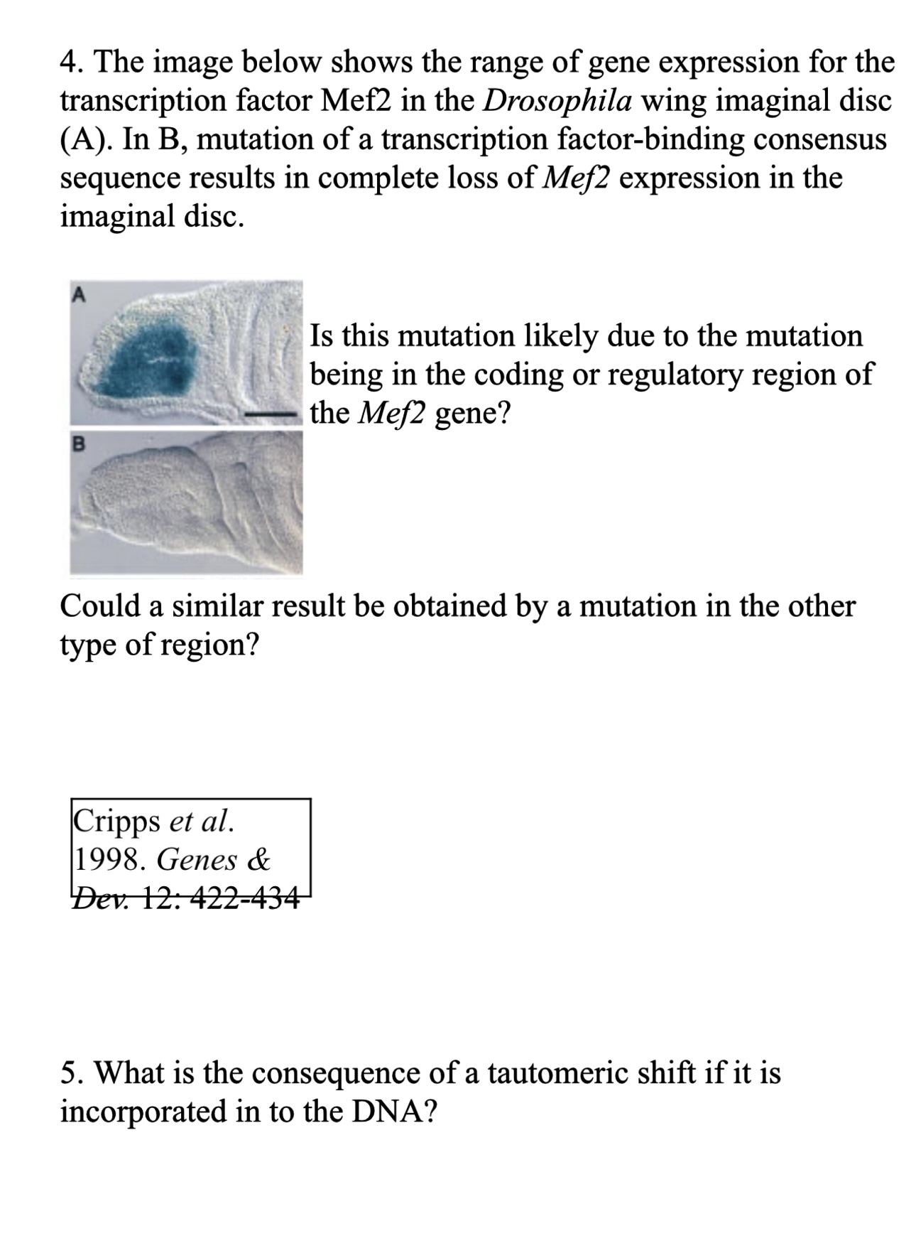 Solved Please answer these questions. | Chegg.com Solved Please answer these questions. | Chegg.com
