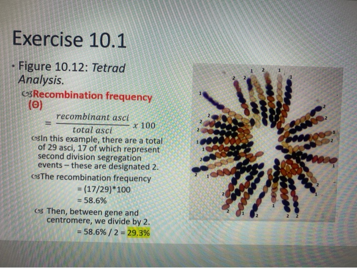 Solved QUESTION 5 From Exercise 10.1. Tetrad Analysis, what | Chegg.com