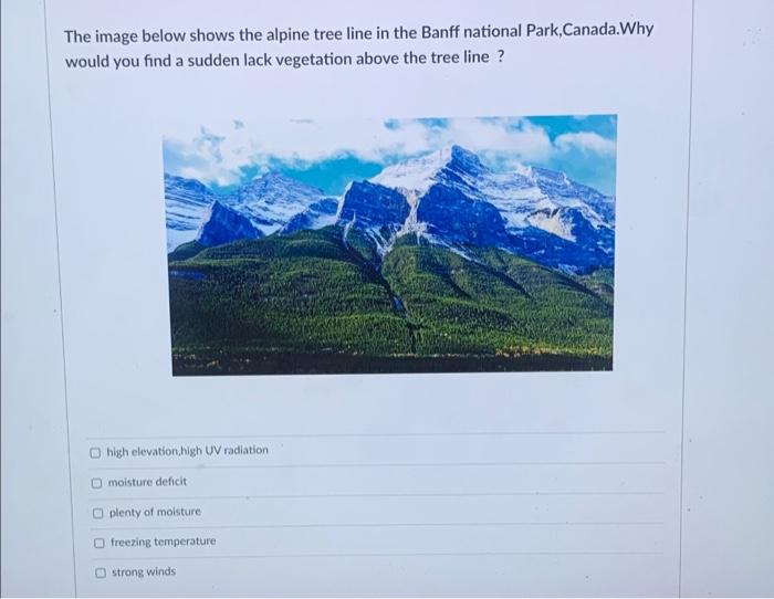 Solved The image below shows the alpine tree line in the | Chegg.com