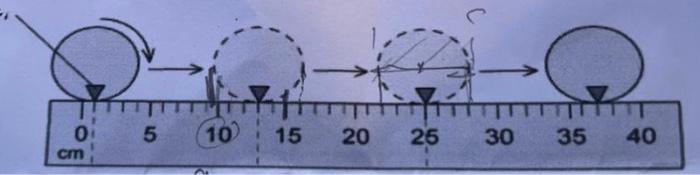 Solved A student uses a ruler to calculate the circumference | Chegg.com