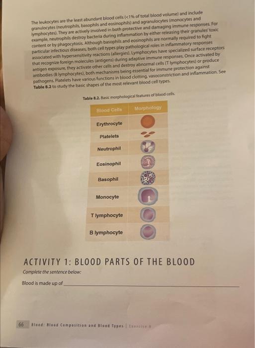 Solved EXERCISE BLOOD: BLOOD COMPOSITION AND BLOOD TYPES | Chegg.com