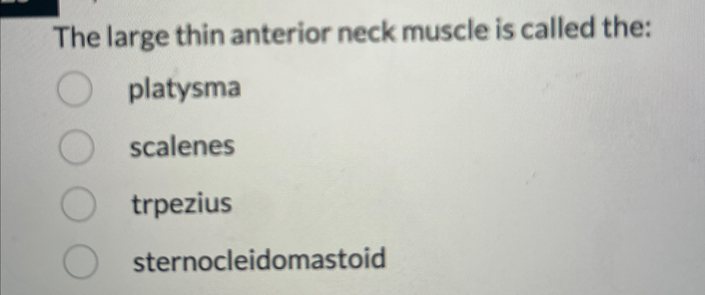 Solved The large thin anterior neck muscle is called | Chegg.com