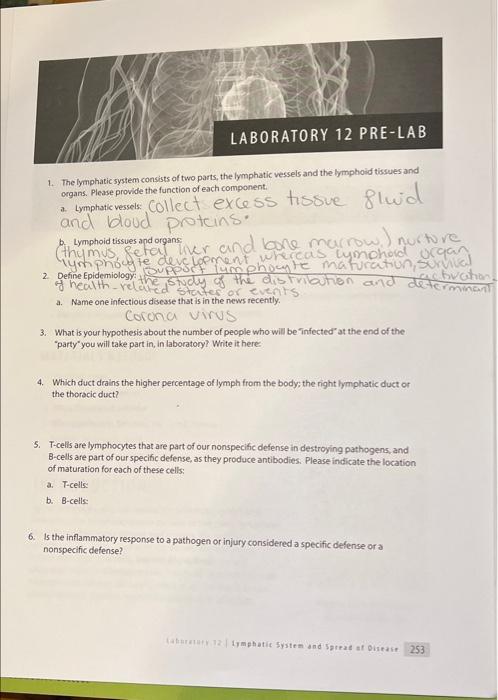 Solved LABORATORY 12 PRE-LAB 1. The lymphatic system | Chegg.com