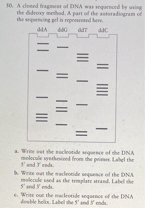 Solved 50. A cloned fragment of DNA was sequenced by using | Chegg.com