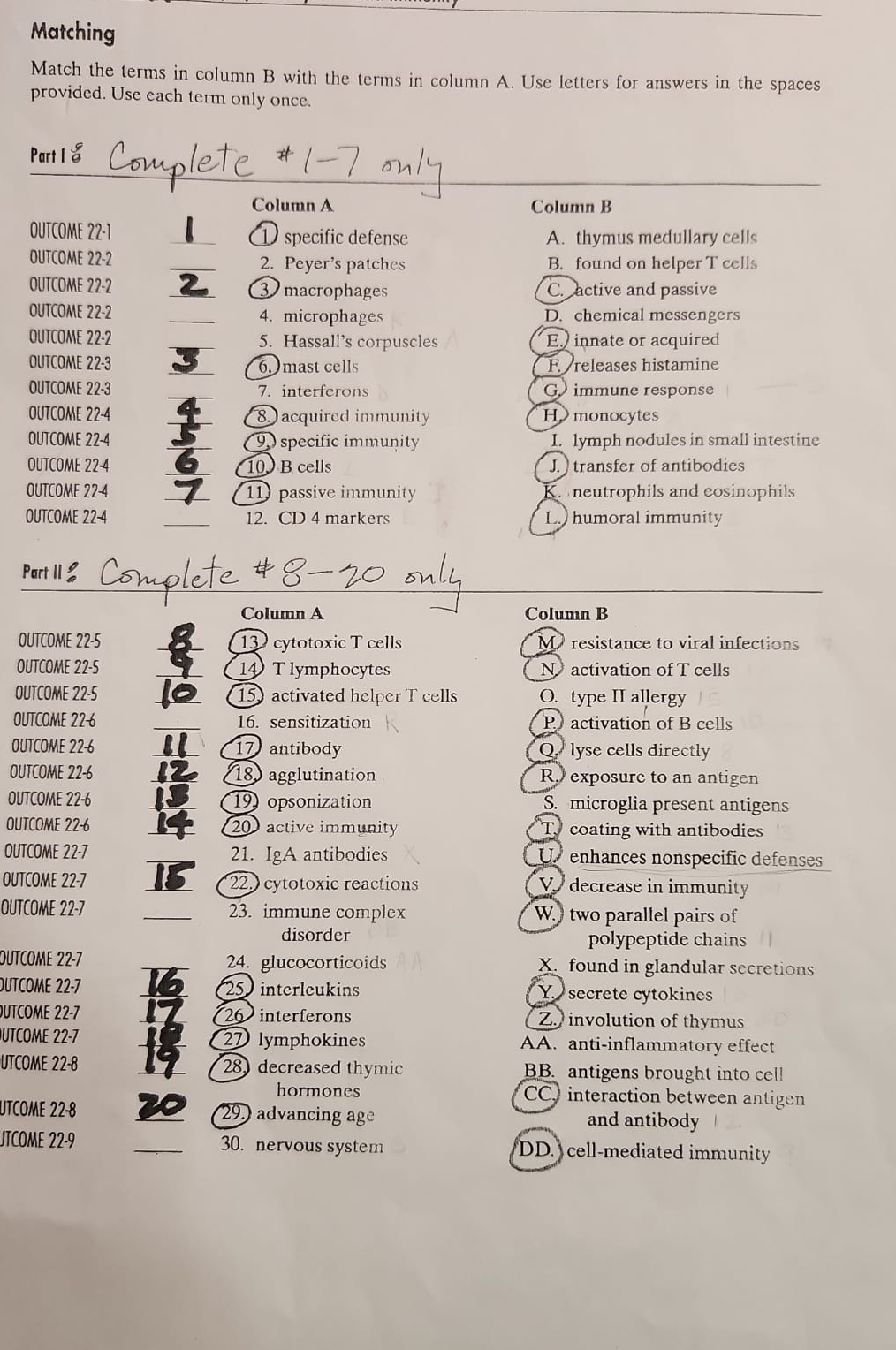 Solved MatchingMatch the terms in column B with the terms in | Chegg.com