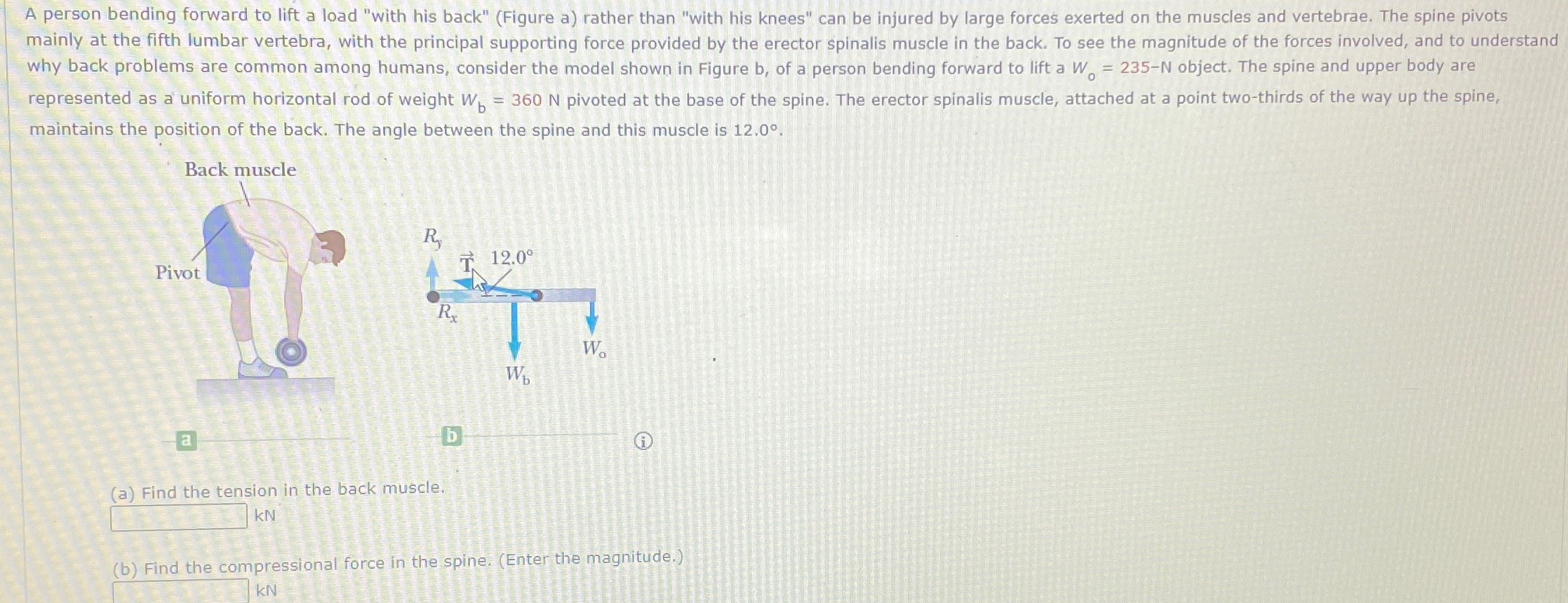 Solved A person bending forward to lift a load "with his | Chegg.com