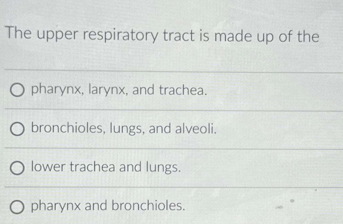 Solved The upper respiratory tract is made up of thepharynx, | Chegg.com