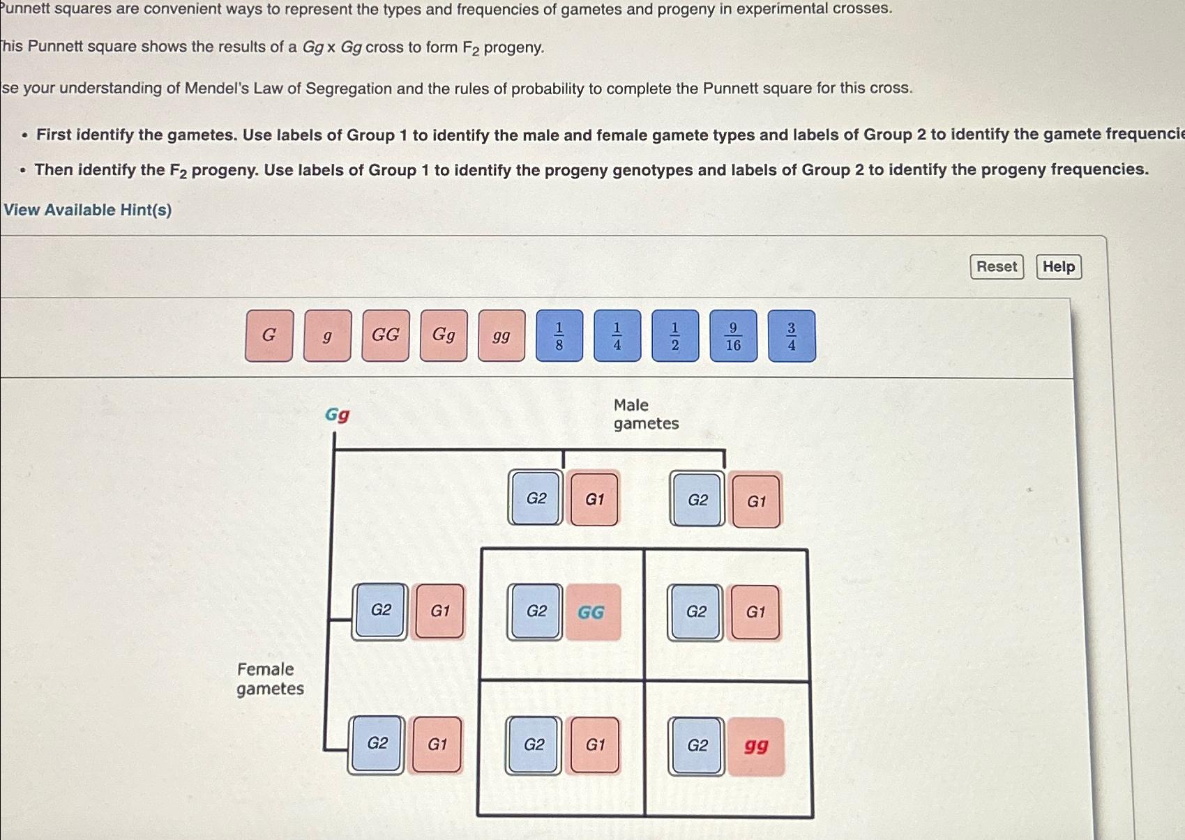 Solved Hunnett squares are convenient ways to represent the | Chegg.com