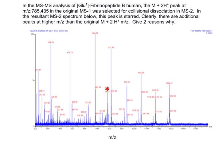 In the MS-MS analysis of [Glu 1-Fibrinopeptide B | Chegg.com