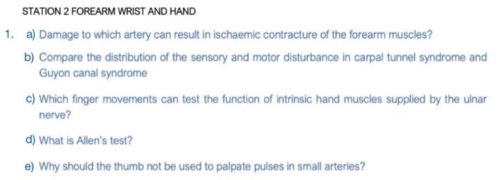 Solved STATION 2 FOREARM WRIST AND HAND 1. a) Damage to | Chegg.com
