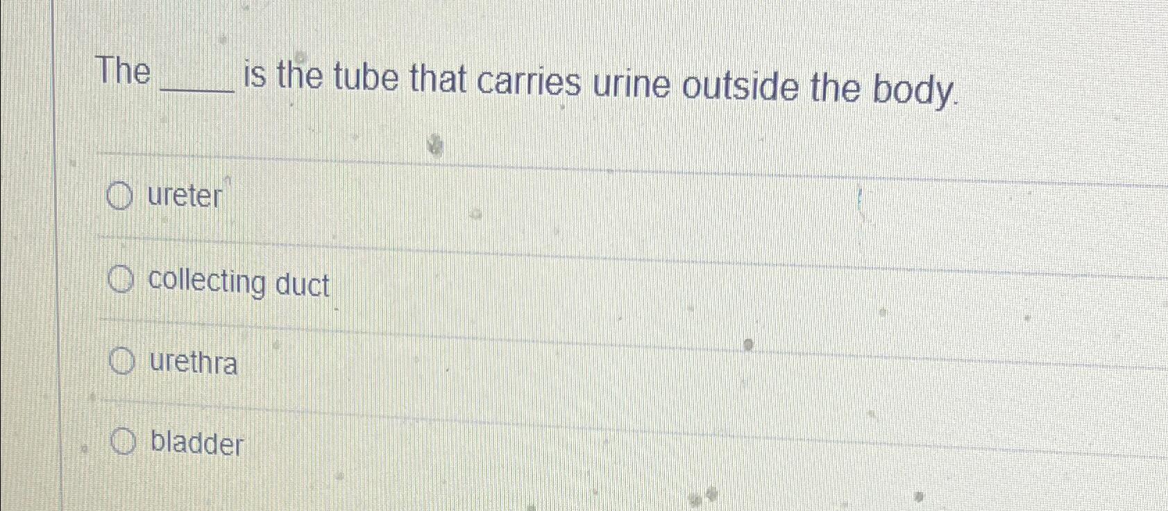 Solved The is the tube that carries urine outside the | Chegg.com