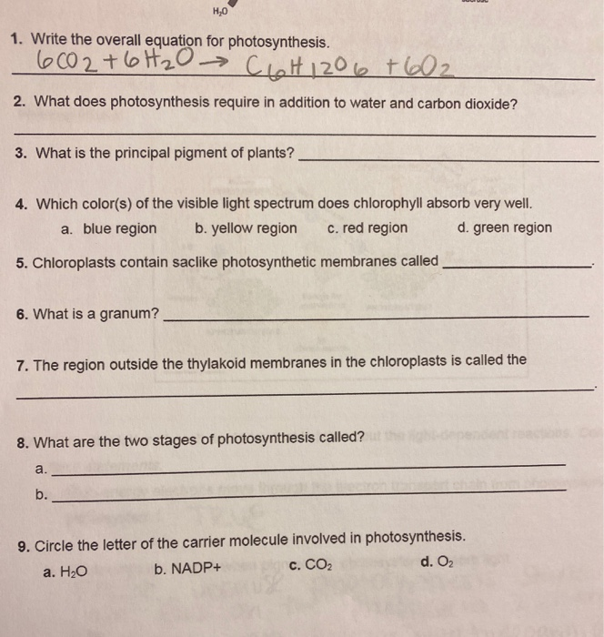 Solved H20 1. Write the overall equation for photosynthesis. | Chegg.com