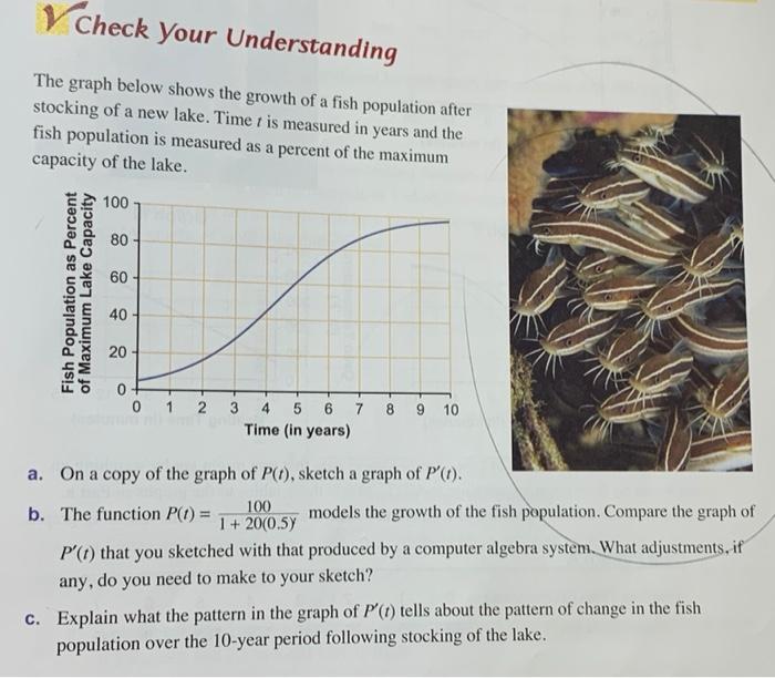 Solved Check Your Understanding The graph below shows the | Chegg.com