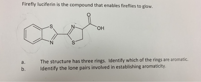 Solved Firefly luciferin is the compound that enables | Chegg.com
