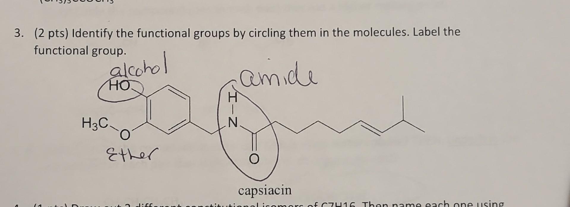 Solved 3. (2 pts) Identify the functional groups by circling | Chegg.com