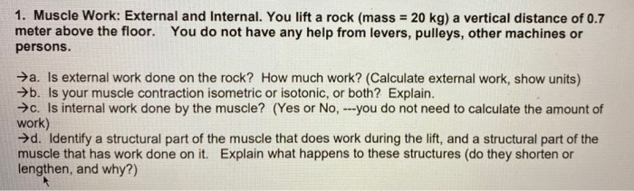 Solved 1. Muscle Work: External and Internal. You lift a | Chegg.com