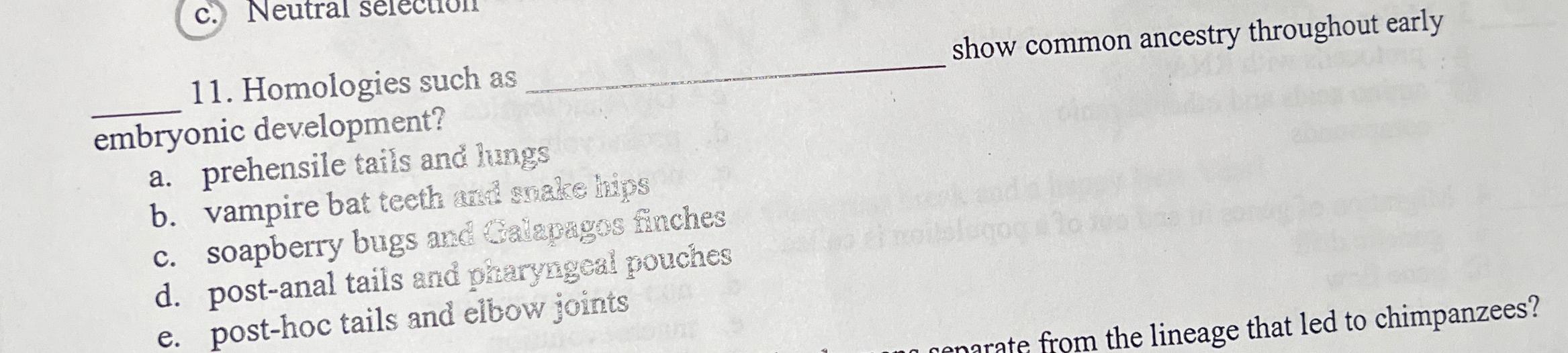 Solved Homologies such as show common ancestry throughout | Chegg.com