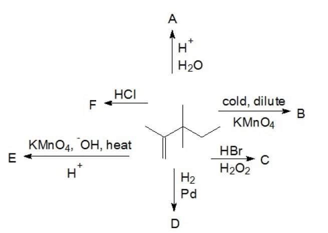 Solved A H H20 HCI F cold, dilute B KMnO4 KMnO4, OH, heat | Chegg.com