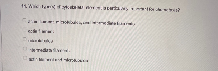 Solved 11. Which type(s) of cytoskeletal element is | Chegg.com