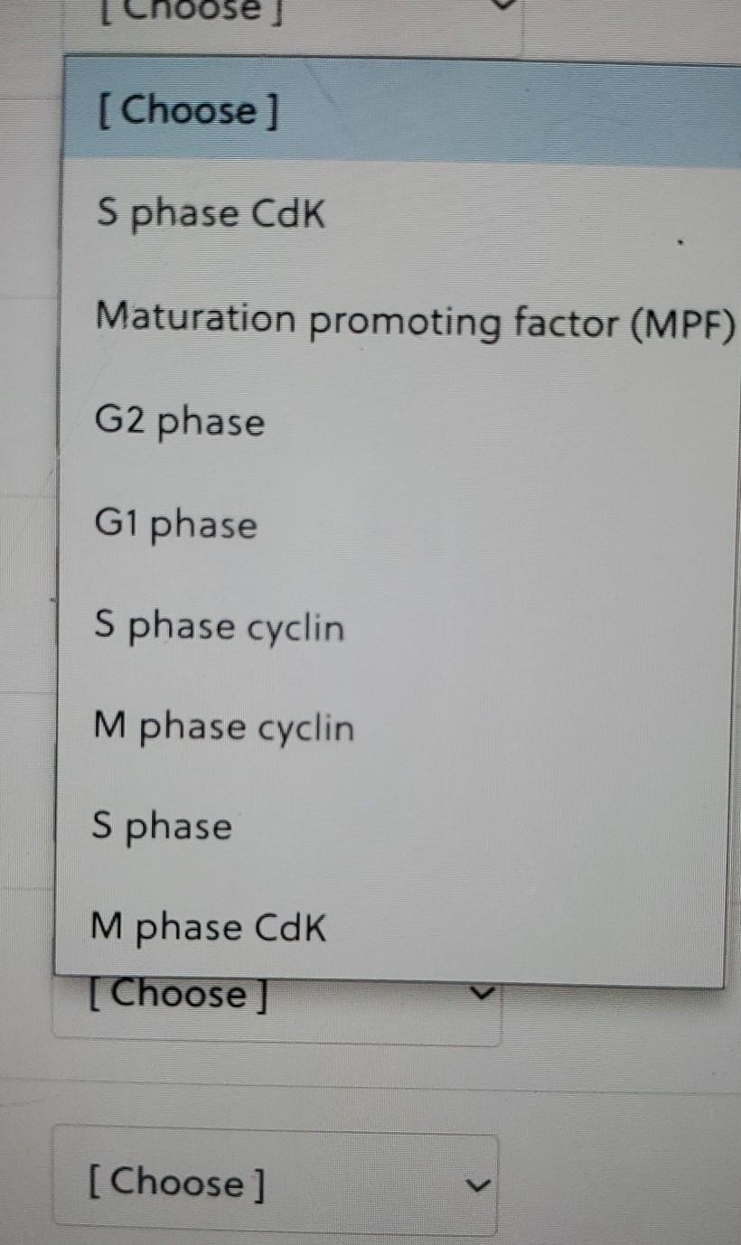 Solved ес, 2. 1 [Choose ] 2 [Choose ] 3 [Choose] 4 [ Choose] | Chegg.com