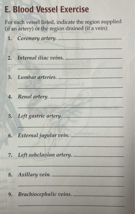 Solved E. Blood Vessel Exercise For each vessel listed, | Chegg.com