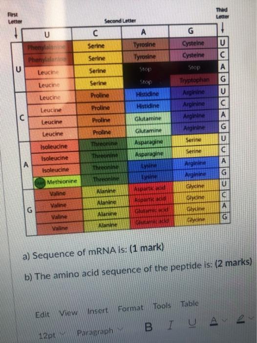 Solved Imagine that an RNA polymerase is transcribing a | Chegg.com