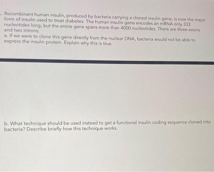 Solved Recombinant human insulin, produced by bacteria | Chegg.com