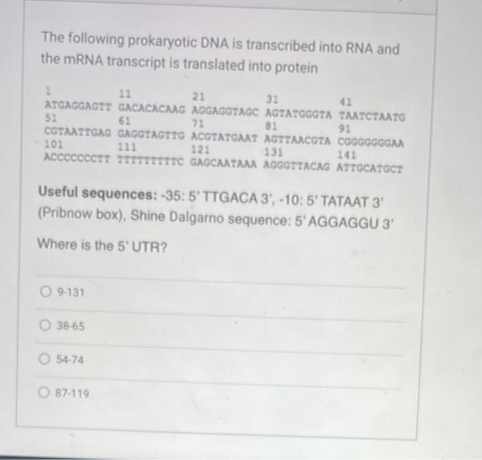 Solved The following prokaryotic DNA is transcribed into RNA | Chegg.com